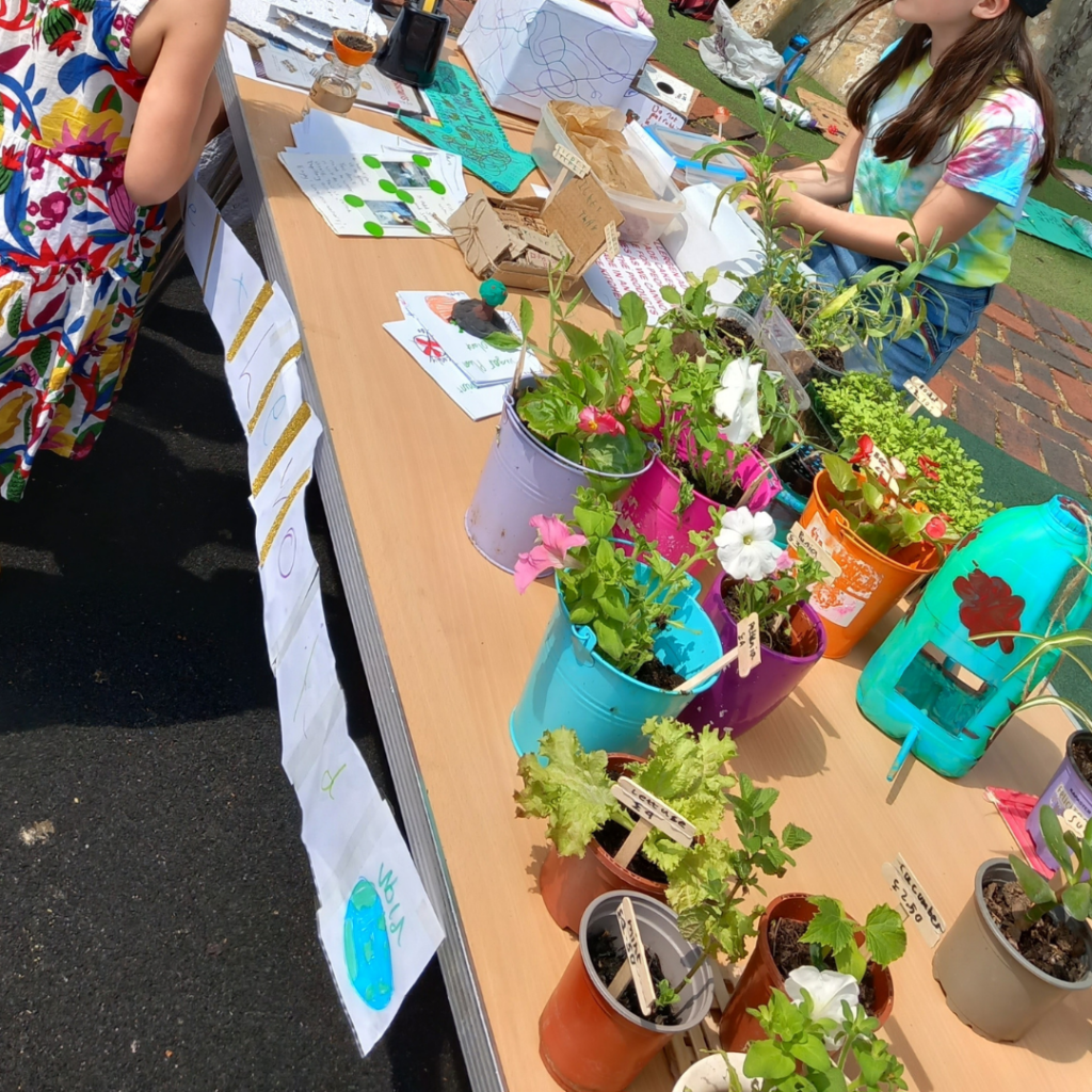Biodiversity - Eco Schools