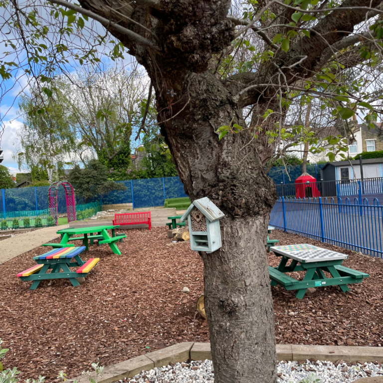 St. Mary's C of E Case Study - Eco Schools