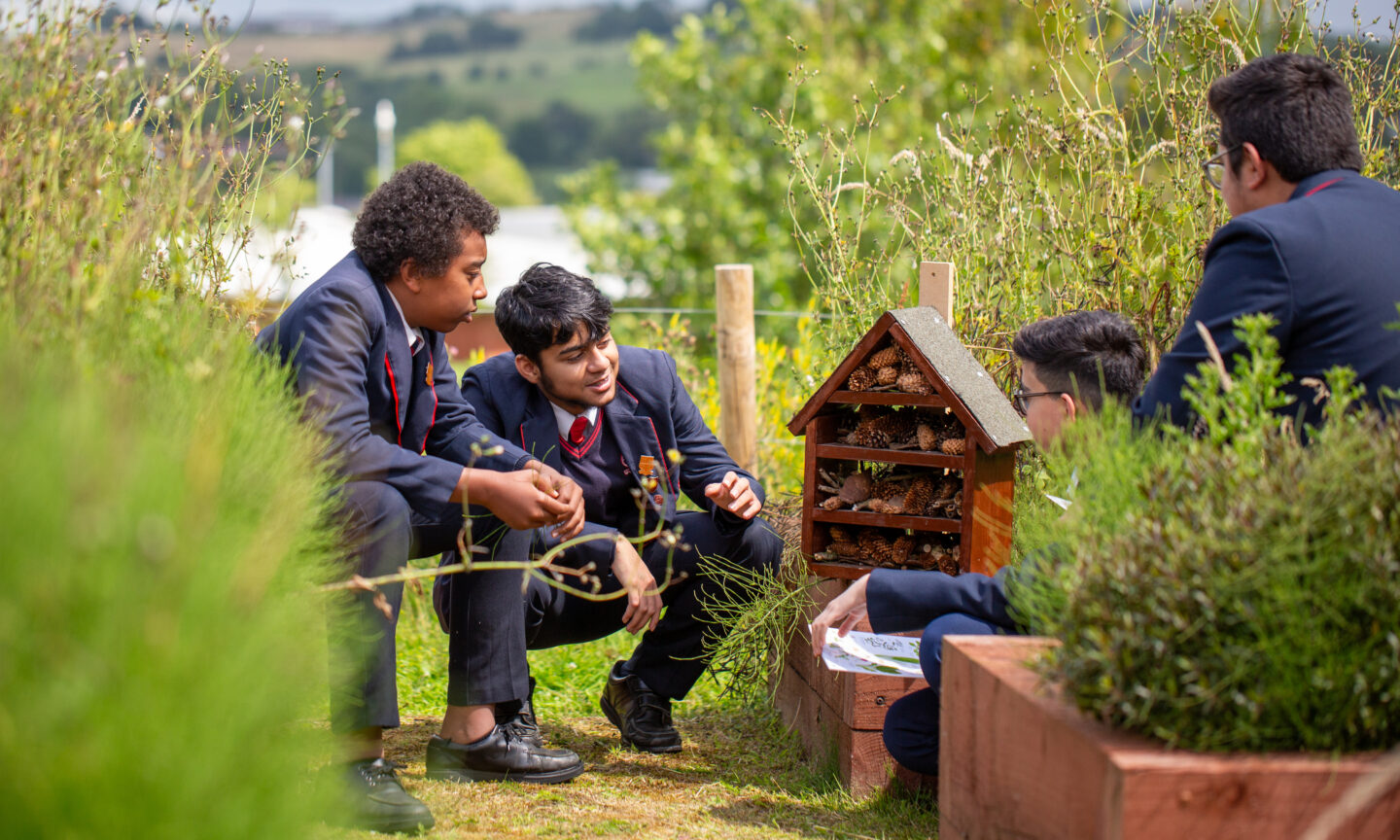 Home - Eco Schools