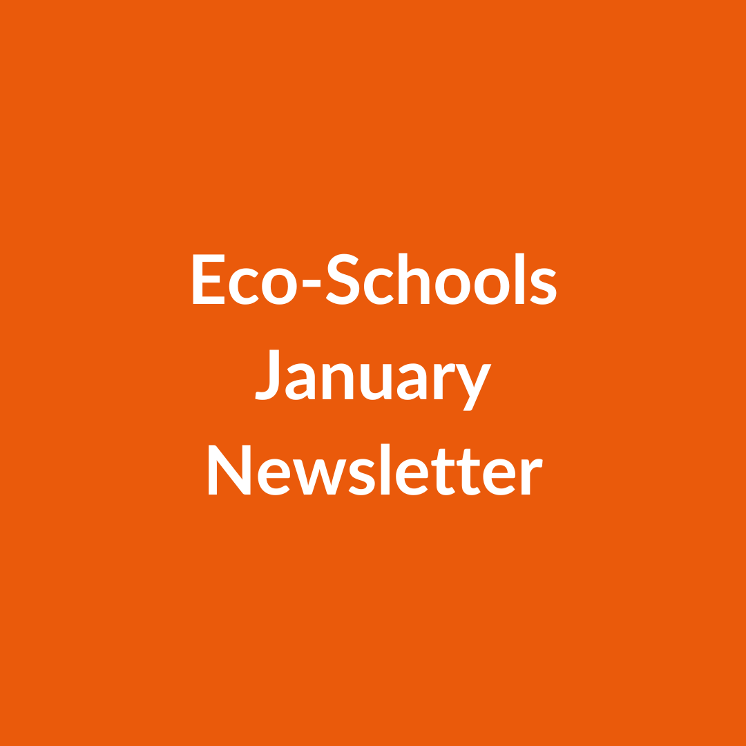 January Newsletter - Eco Schools