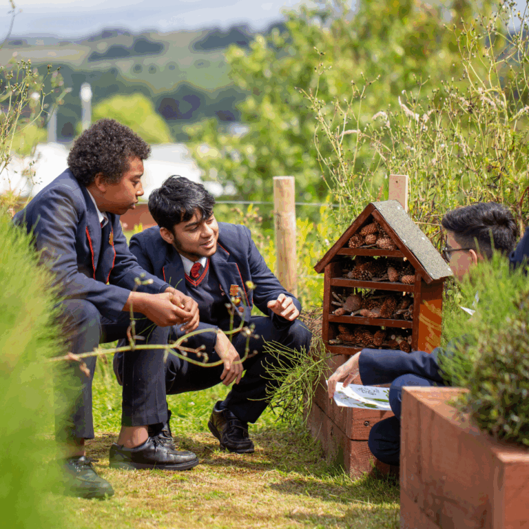 Learn More About Eco-Schools - Eco Schools